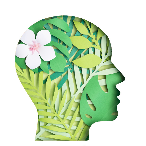 All Minds Matter Outpatient Mental Health Clinic